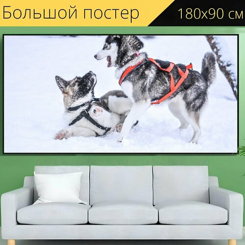 Большой постер "Зима, снег, собаки" 180 x 90 см. для интерьера