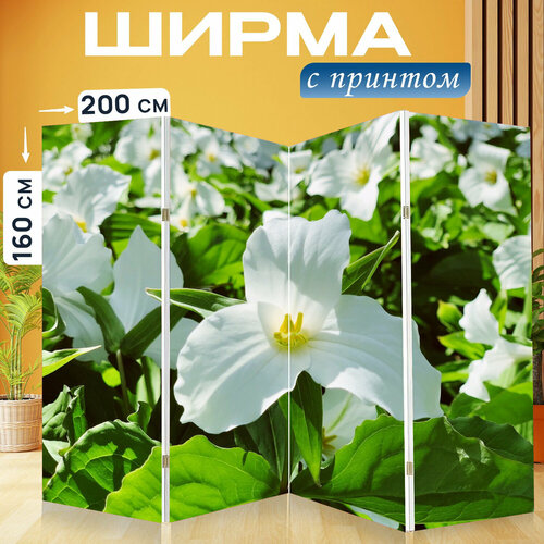 Ширма перегородка с принтом "Триллиум, цветок, полевой цветок" на холсте - 200x160 см. для зонирования, раскладная