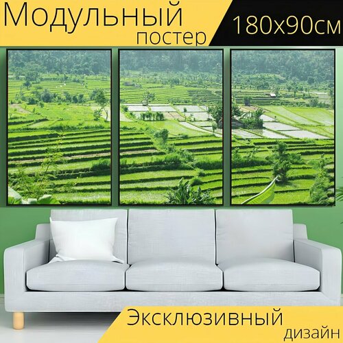 Модульный постер "Рисовые поля, ферма, полях" 180 x 90 см. для интерьера