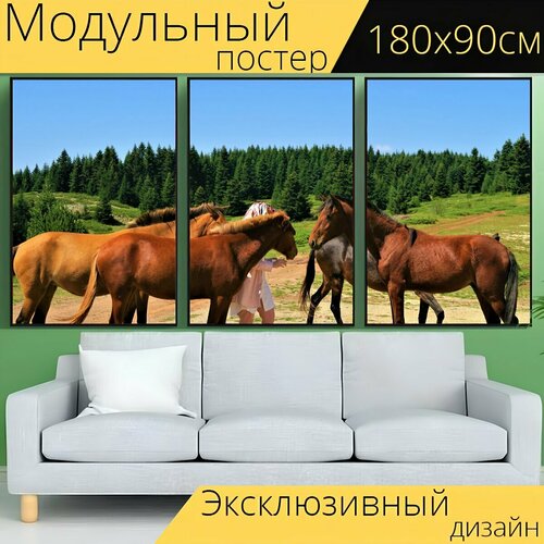 Модульный постер "Лошади, симпатичные, природа" 180 x 90 см. для интерьера