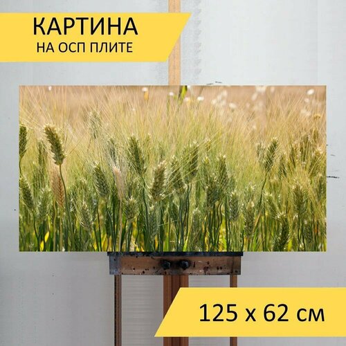 Картина на ОСП 125х62 см. "Пшеница, зеленый, земля" горизонтальная, для интерьера, с креплениями
