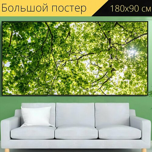 Большой постер "Зеленый, цвет, дерево" 180 x 90 см. для интерьера