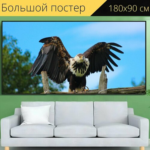 Большой постер "Орел, птица, изгородь" 180 x 90 см. для интерьера