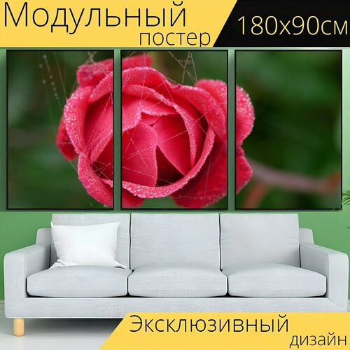 Модульный постер "Сад, цветок, роса" 180 x 90 см. для интерьера