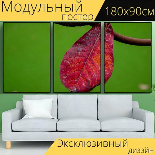 Модульный постер "Алмонд листья, ханой, вьетнам" 180 x 90 см. для интерьера