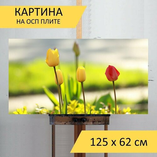 Картина на ОСП 125х62 см. "Тюльпаны, цветы, весна" горизонтальная, для интерьера, с креплениями