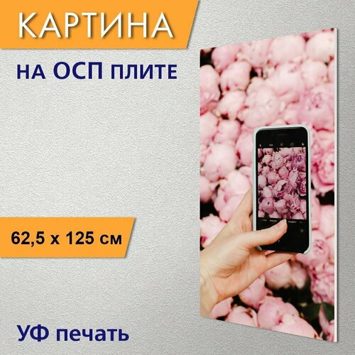 Вертикальная картина на ОСП "Пионы, айфон, цветы" 62x125 см. для интерьериа