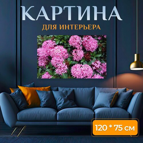Картина на холсте "Цветы, лепестки, листья" на подрамнике 120х75 см. для интерьера