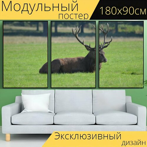 Модульный постер "Кабан олень, лес, природа" 180 x 90 см. для интерьера