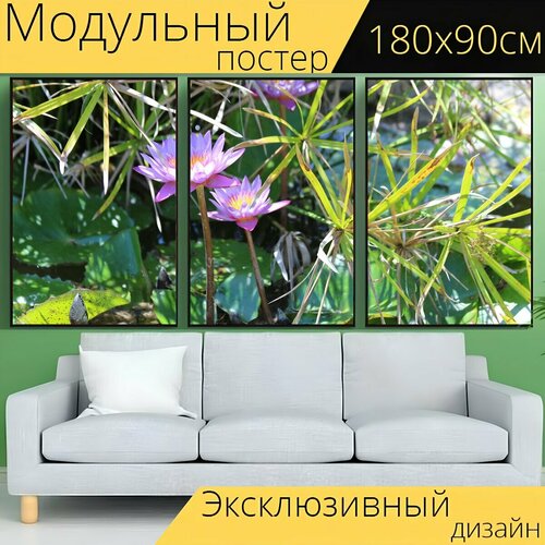 Модульный постер "Кувшинки, цветы, листья" 180 x 90 см. для интерьера