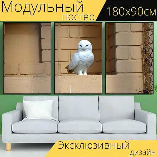 Модульный постер "Снежная сова, птица, хищник" 180 x 90 см. для интерьера