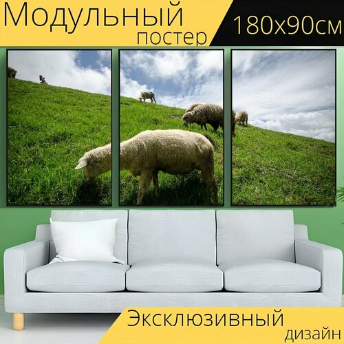 Модульный постер "Стадо овец, овец, животные" 180 x 90 см. для интерьера