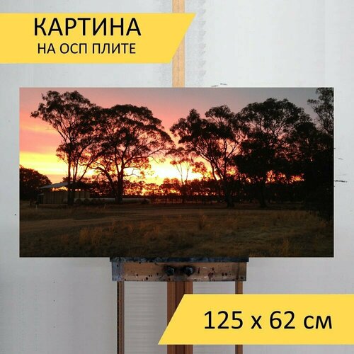 Картина на ОСП 125х62 см. "Заход солнца, австралийская глубинка, силуэты деревьев" горизонтальная, для интерьера, с креплениями