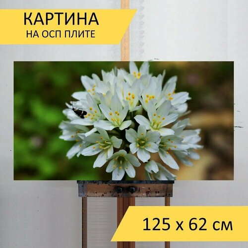 Картина на ОСП 125х62 см. "Цветок, белый, весна" горизонтальная, для интерьера, с креплениями