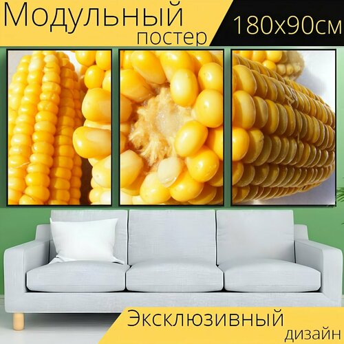 Модульный постер "Кукуруза, еда, вареный" 180 x 90 см. для интерьера