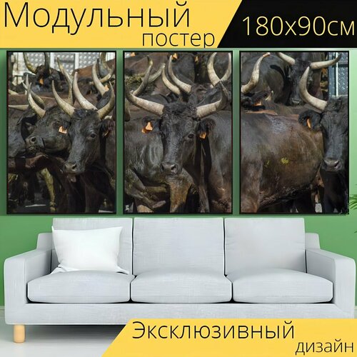 Модульный постер "Камарг, быки, справедливая" 180 x 90 см. для интерьера