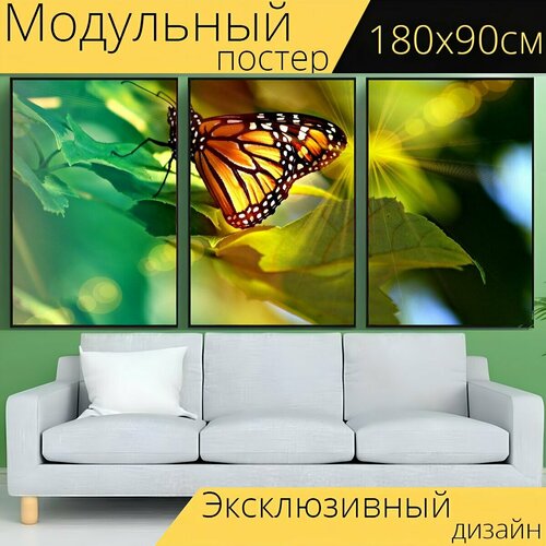 Модульный постер "Монарх, бабочка, свет" 180 x 90 см. для интерьера