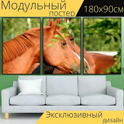 Модульный постер "Лошадь, подиум, каштан" 180 x 90 см. для интерьера