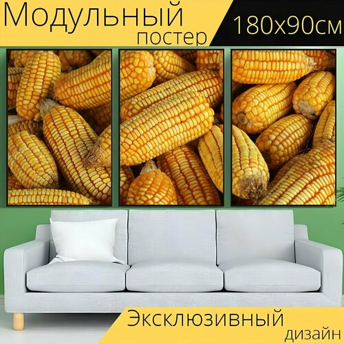 Модульный постер "Кукуруза, шип, уборка урожая" 180 x 90 см. для интерьера