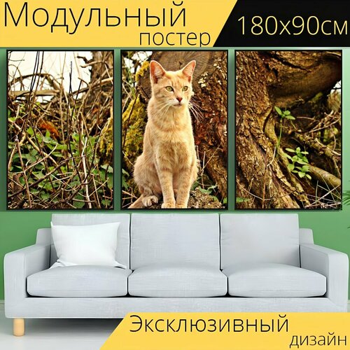 Модульный постер "Кот, котенок, породистый кот" 180 x 90 см. для интерьера