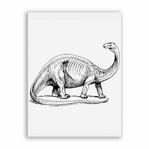 Постер плакат на бумаге / Черно-белые - Динозавр / Размер 30 x 40 см