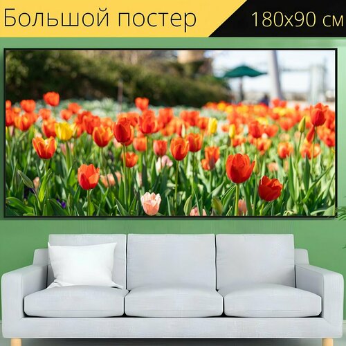 Большой постер "Тюльпаны, цветы, ботанические сады" 180 x 90 см. для интерьера