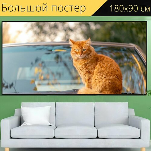 Большой постер "Прекрасный, солнце, кошка" 180 x 90 см. для интерьера