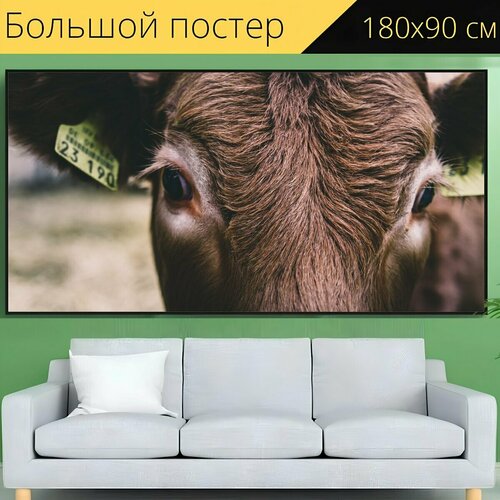 Большой постер "Корова, сельское хозяйство, животное" 180 x 90 см. для интерьера