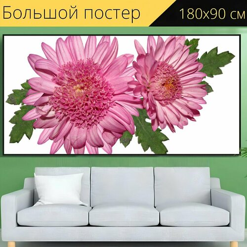 Большой постер "Цветок, хризантема, розовый" 180 x 90 см. для интерьера