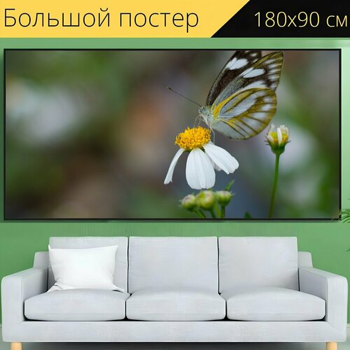 Большой постер "Бабочка, цветок, природа" 180 x 90 см. для интерьера