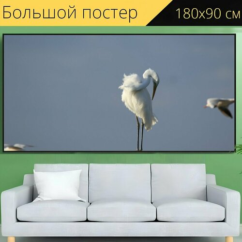 Большой постер "Большая белая цапля, цапля, птица" 180 x 90 см. для интерьера