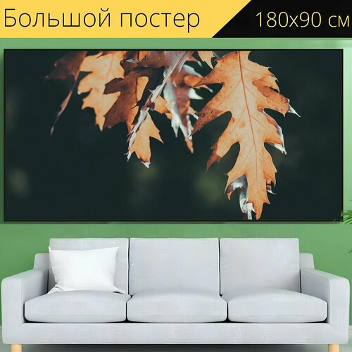 Большой постер "Осенние листья, листья, осенний цвет" 180 x 90 см. для интерьера