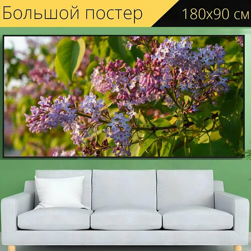 Большой постер "Природа, растения, фиолетовый" 180 x 90 см. для интерьера