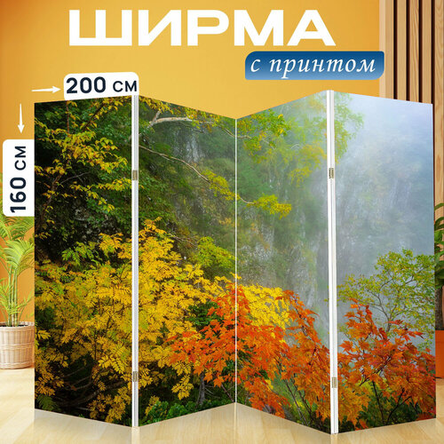 Ширма перегородка с принтом "Пейзаж, осенние листья, желтые листья" на холсте - 200x160 см. для зонирования, раскладная