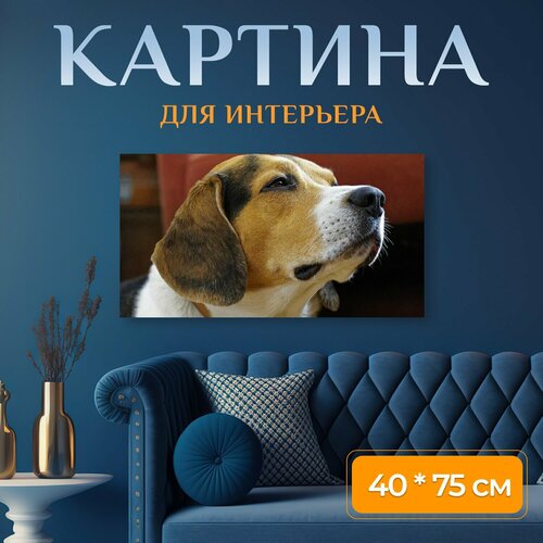 Картина на холсте "Гончая, собака, домашний питомец" на подрамнике 75х40 см. для интерьера