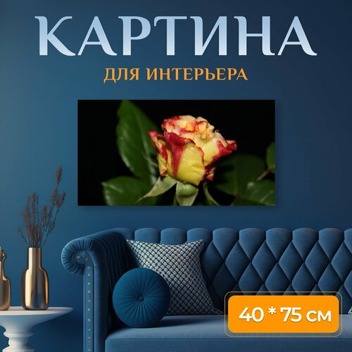 Картина на холсте "Роза, желтый, красный" на подрамнике 75х40 см. для интерьера