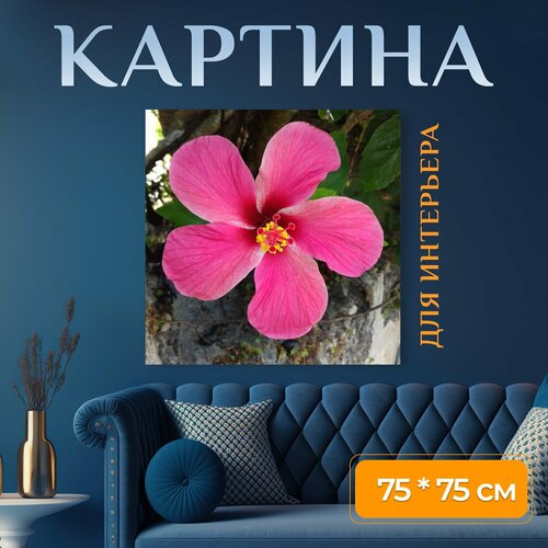 Картина на холсте "Природа, цветок, флора" на подрамнике 75х75 см. для интерьера