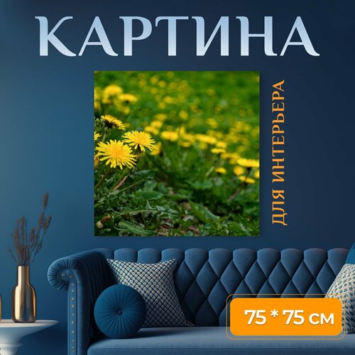 Картина на холсте "Одуванчики, желтые цветы, луг" на подрамнике 75х75 см. для интерьера