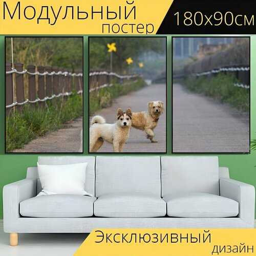 Модульный постер "Собака, пару, дорога" 180 x 90 см. для интерьера
