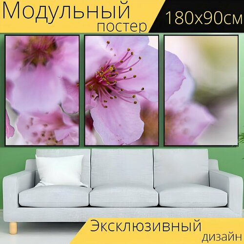 Модульный постер "Природа, цветок, весна" 180 x 90 см. для интерьера