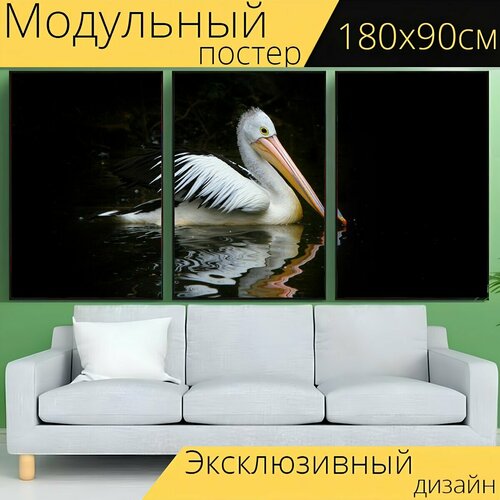 Модульный постер "Пеликан, птица, морские птицы" 180 x 90 см. для интерьера
