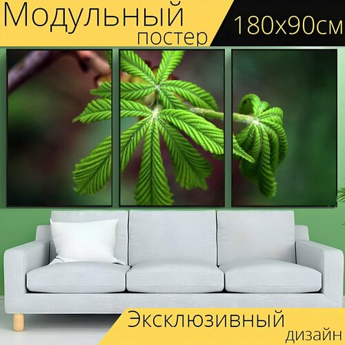 Модульный постер "Зеленый, каштан, листья" 180 x 90 см. для интерьера