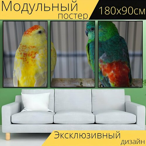 Модульный постер "Попугай, птица, клетка" 180 x 90 см. для интерьера