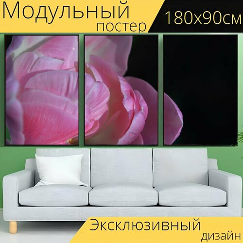 Модульный постер "Цветы, тюльпан, весна" 180 x 90 см. для интерьера