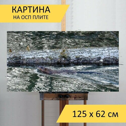 Картина на ОСП 125х62 см. "Животные, природа, бобр" горизонтальная, для интерьера, с креплениями