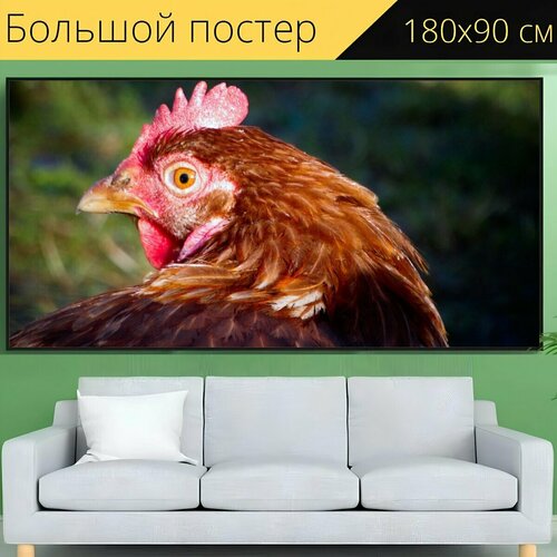 Большой постер "Курица, сельскохозяйственное животное, курятник" 180 x 90 см. для интерьера