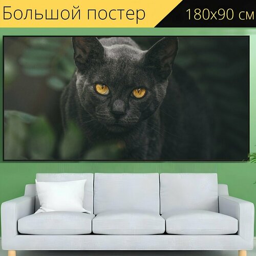 Большой постер "Кошка, глаза, животное" 180 x 90 см. для интерьера