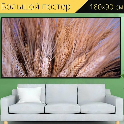 Большой постер "Пшеница, зерно, еда" 180 x 90 см. для интерьера