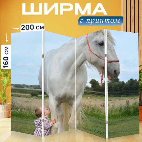 Ширма перегородка с принтом "Лошадь, мальчик, ребенок" на холсте - 200x160 см. для зонирования, раскладная