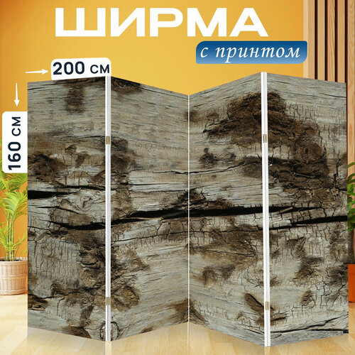 Ширма перегородка с принтом "Дерево, древесина, заготовка" на холсте - 200x160 см. для зонирования, раскладная